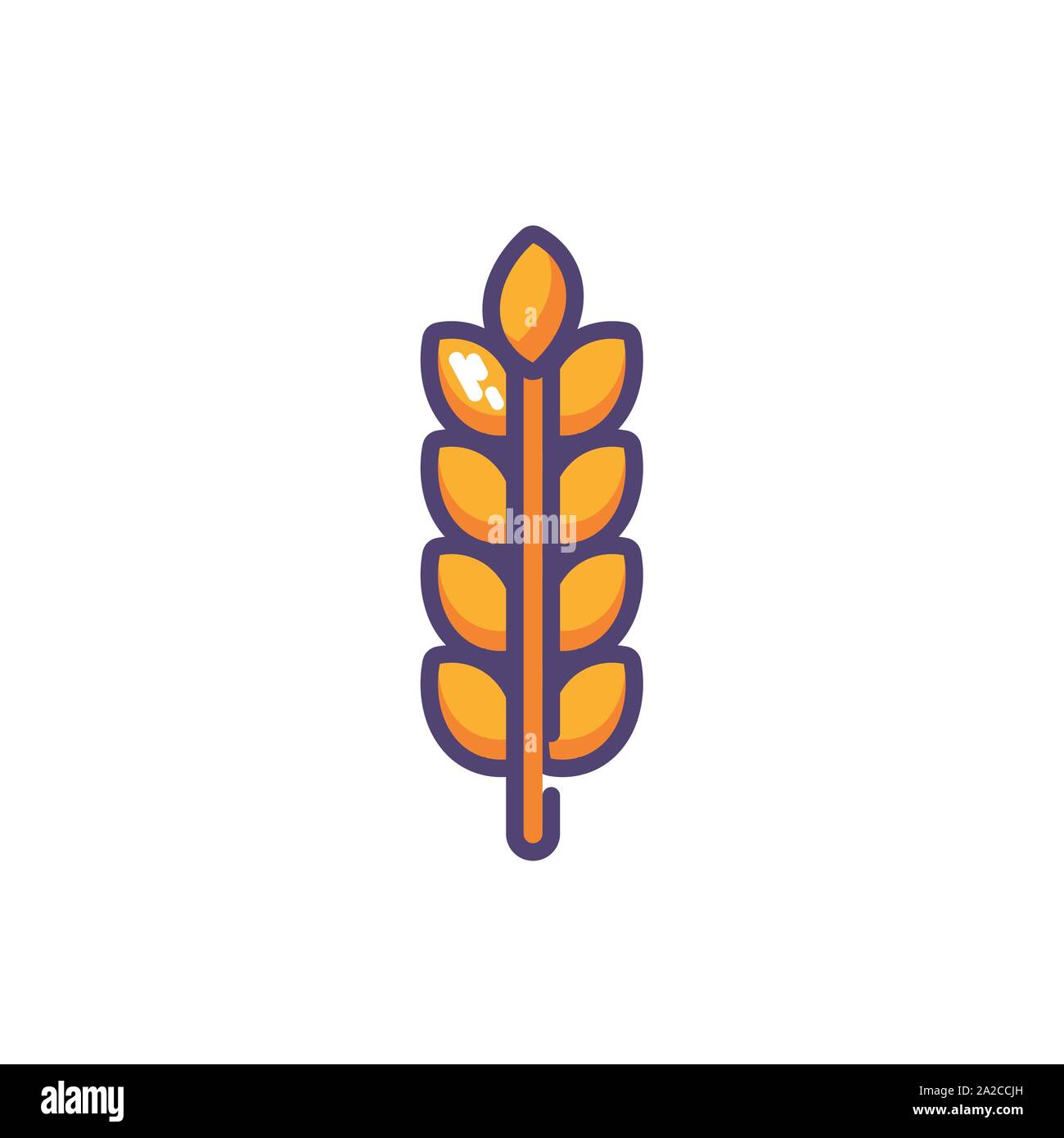 wheat leaves in white background vector illustration design Stock ...