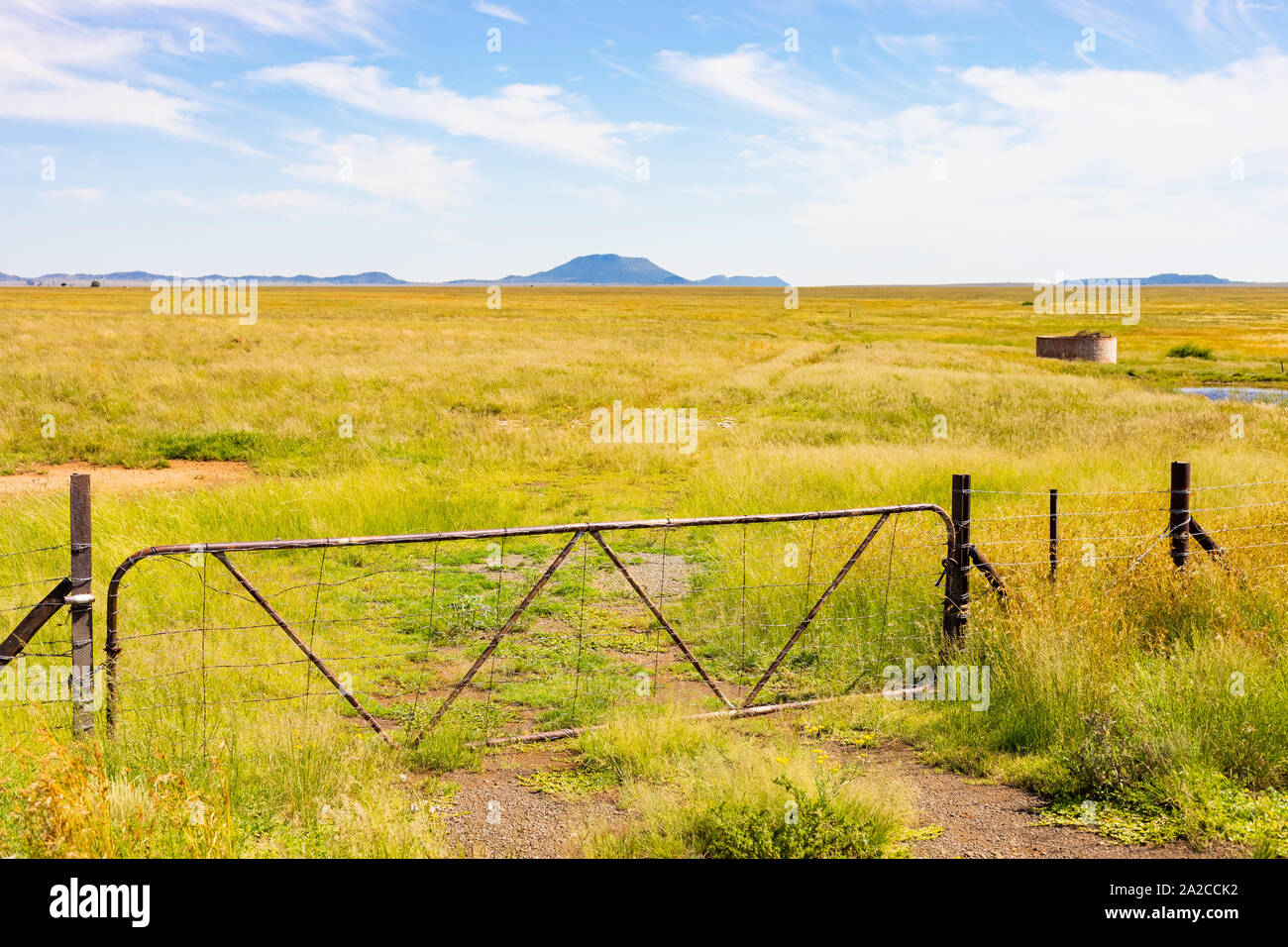 Farm gate and fence in rural grassland area of South Africa Stock Photo ...