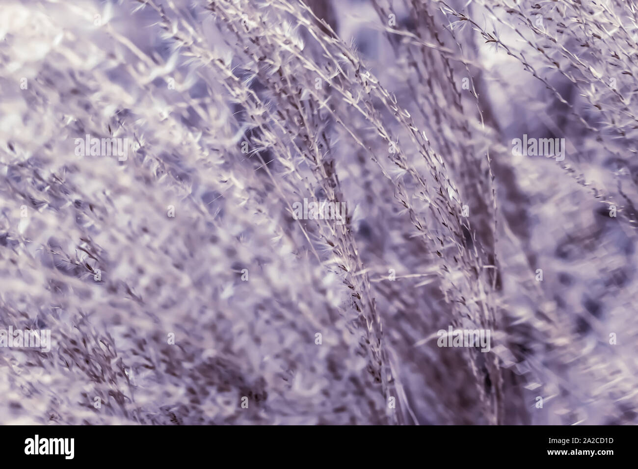 Rural landscape, pastel backdrop and environmental design concept ...