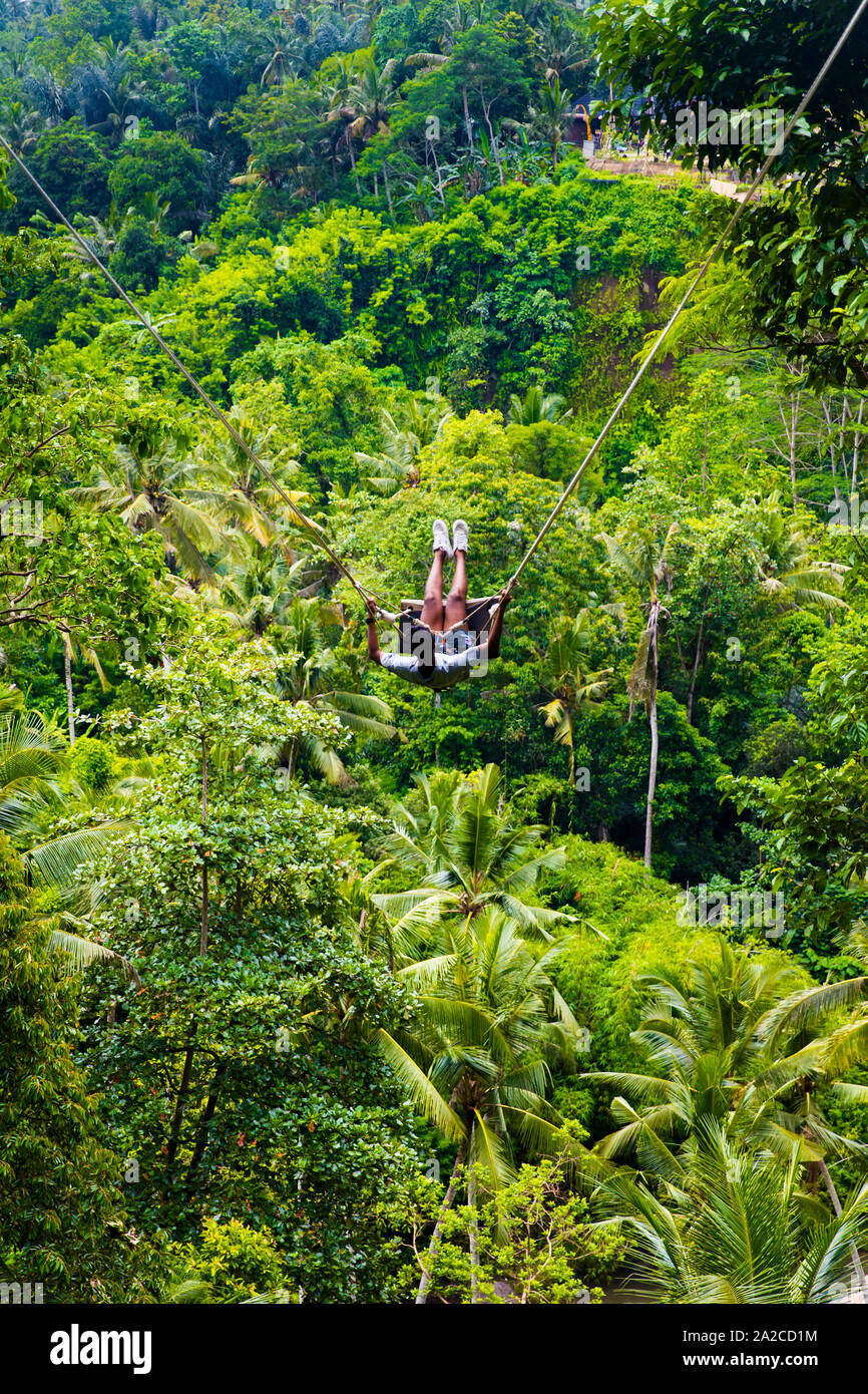 Young male tourist swinging on the cliff in the jungle rainforest of a ...