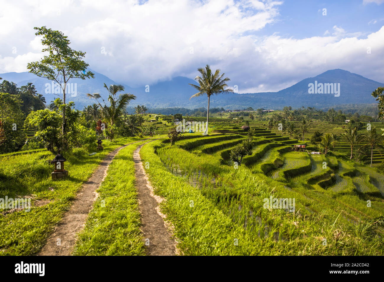 Beautiful countryside road in indonesia hi-res stock photography and ...