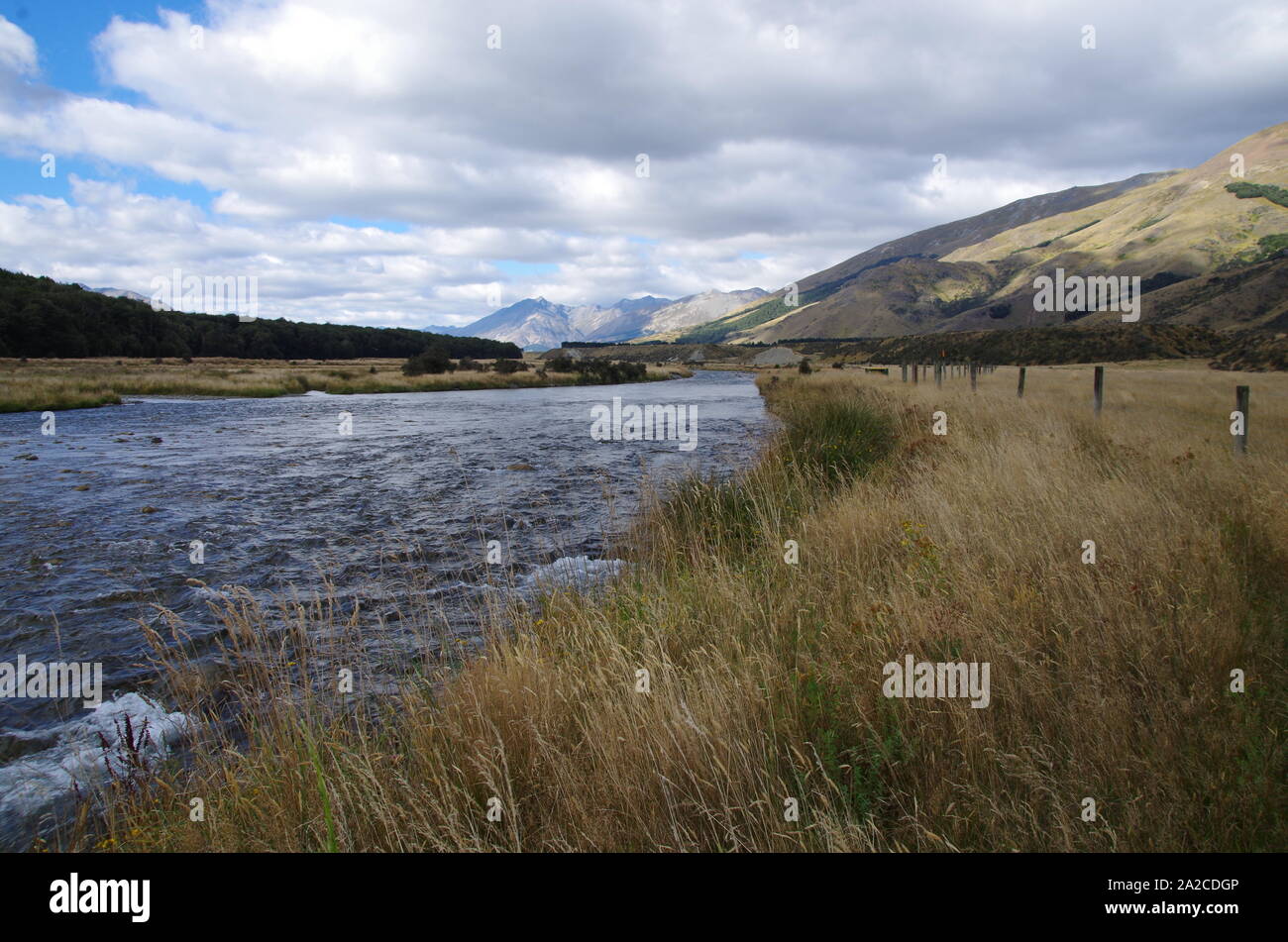 Te Araroa Trail. South Island. New Zealand Stock Photo - Alamy