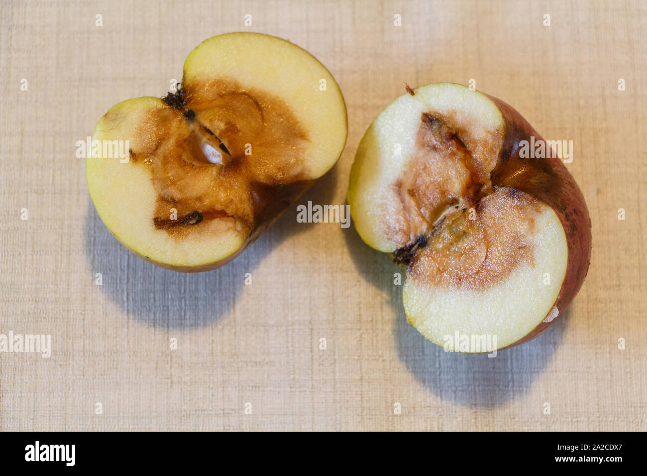 Cut in two pieces hi-res stock photography and images - Alamy