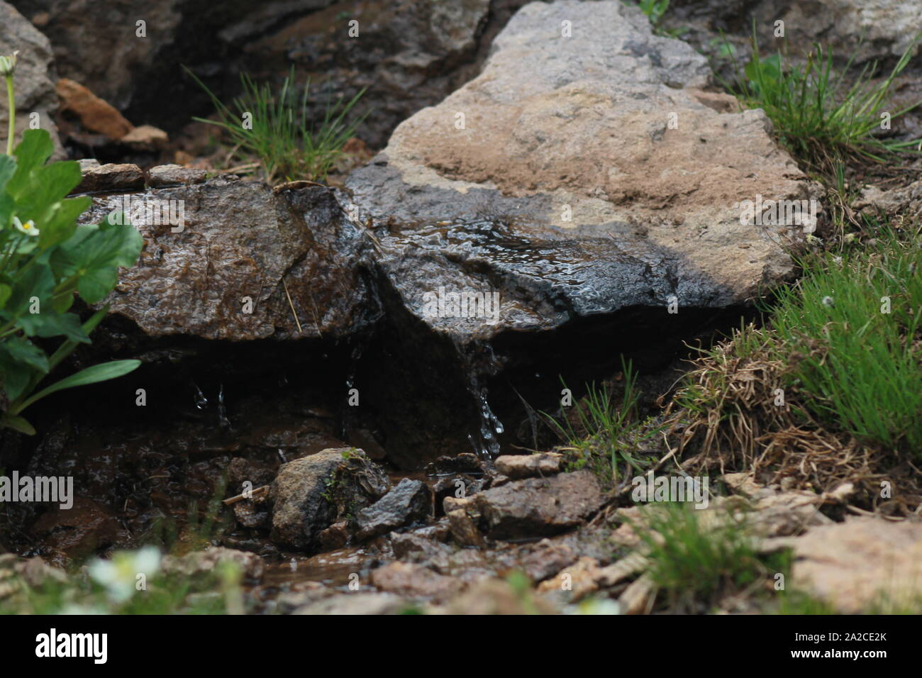 Water dripping rock hi-res stock photography and images - Alamy