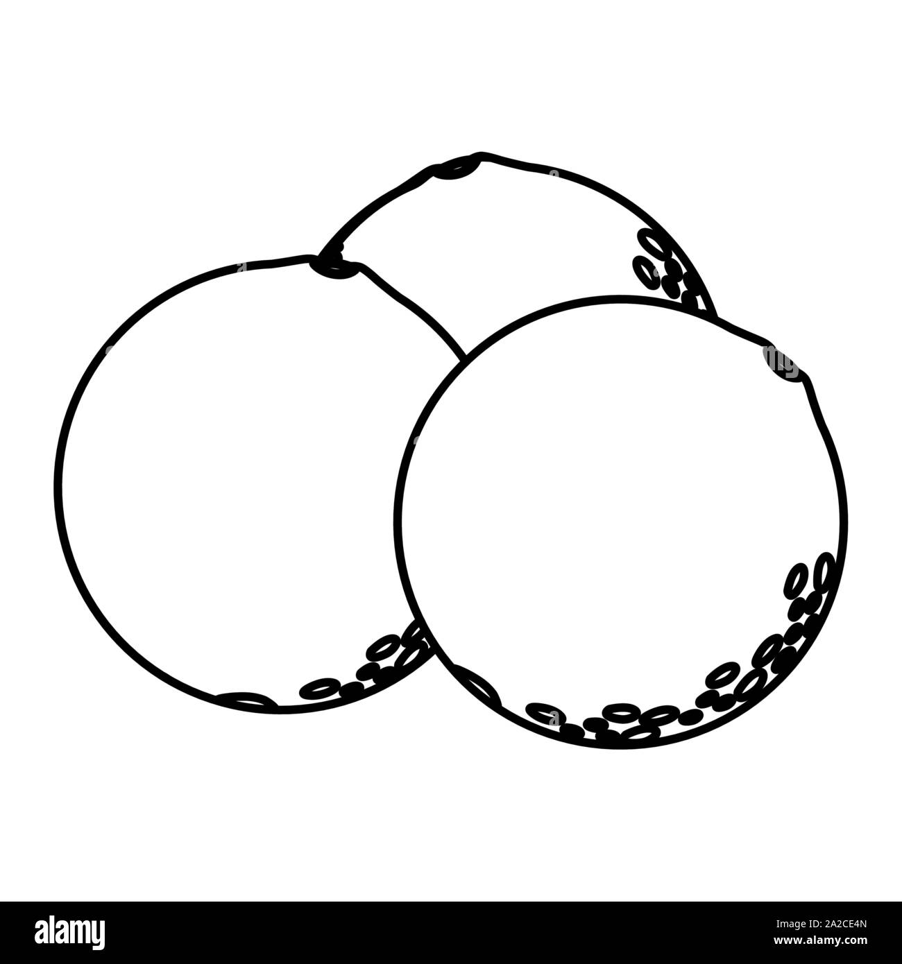 melons design, Fruit healthy organic food sweet and nature theme Vector ...
