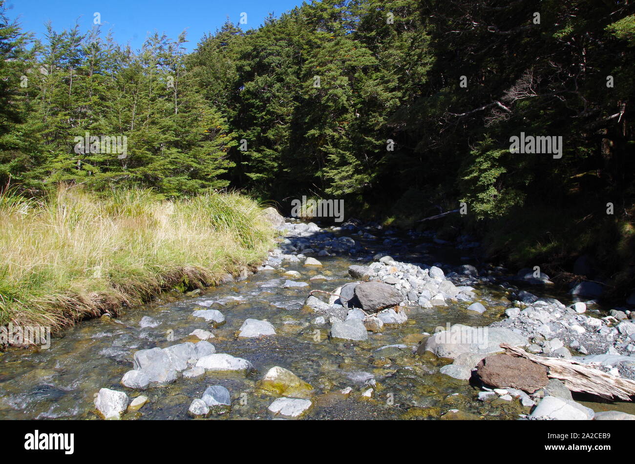 Te Araroa Trail. South Island. New Zealand Stock Photo - Alamy