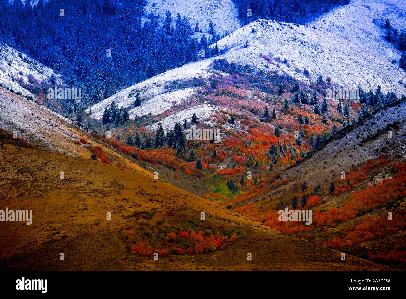 Mountain landscape in late fall with autumn tree colors and first snow ...