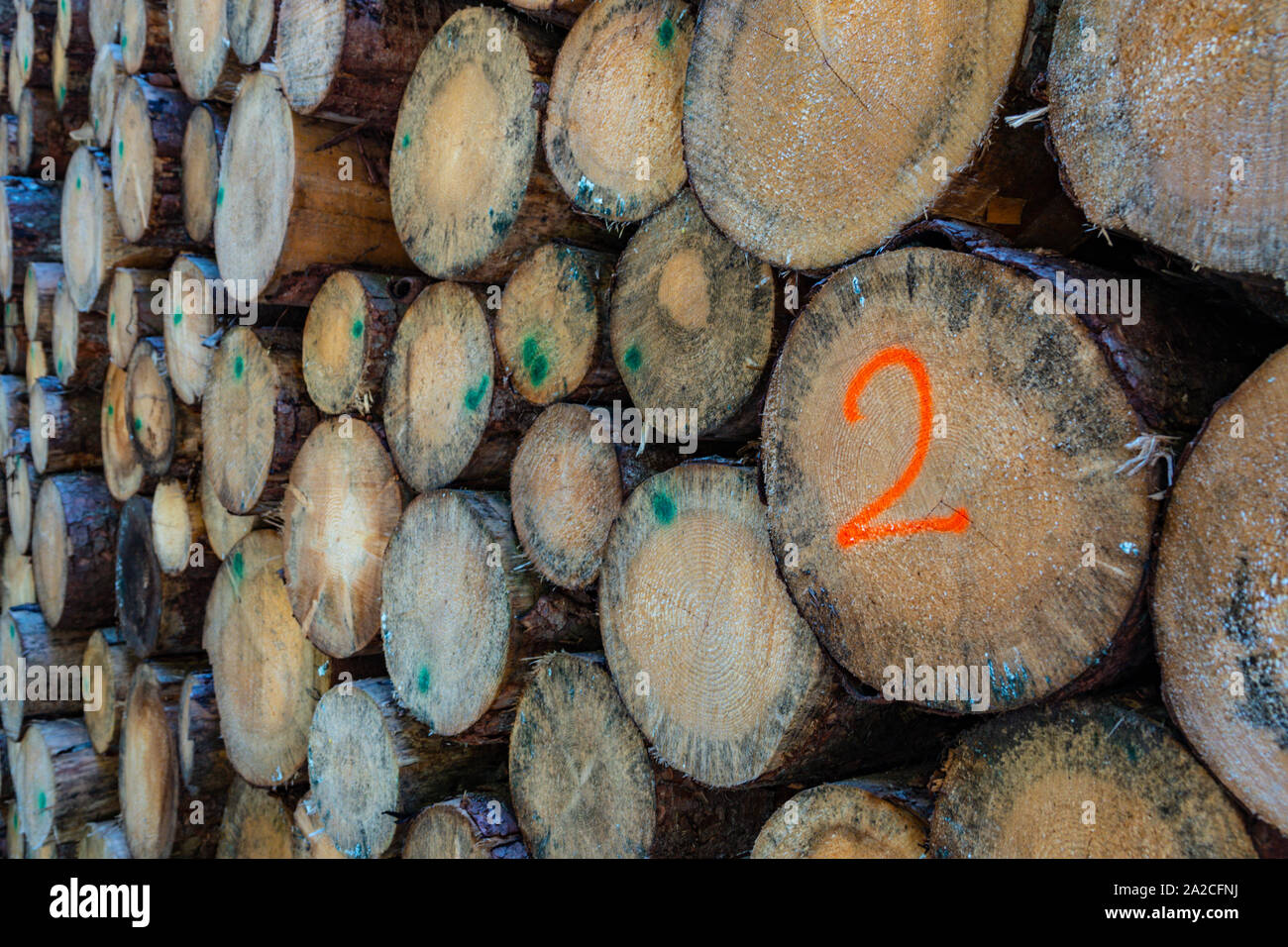 Piles sud hi-res stock photography and images - Alamy