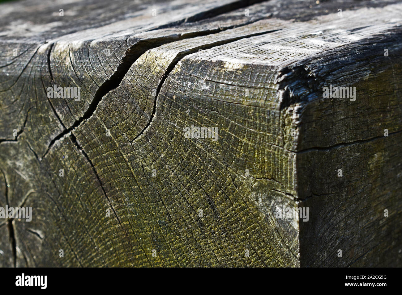 Wood bench texture hi-res stock photography and images - Alamy