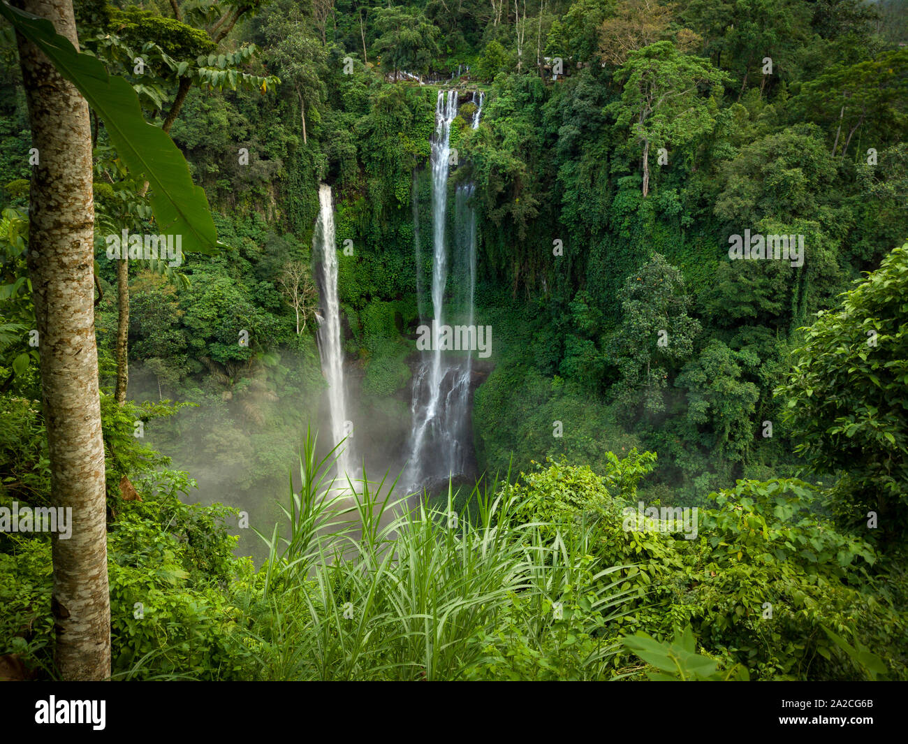 Huge water fall iin dense tropical rainforest on the island of Bali ...