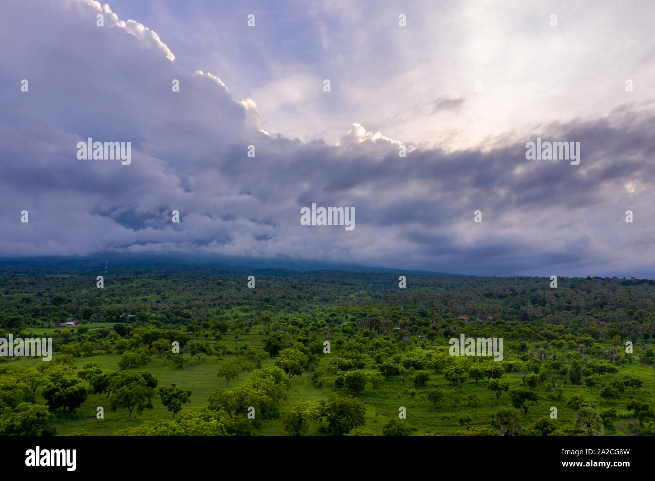 Tropical Monsoon Forest High Resolution Stock Photography and Images ...