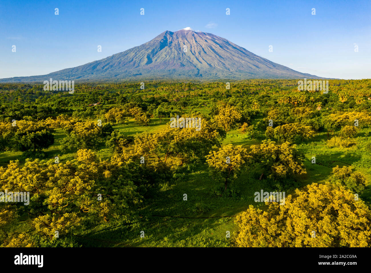 Large volcano on Bali surrounded by dense vegetation Stock Photo - Alamy