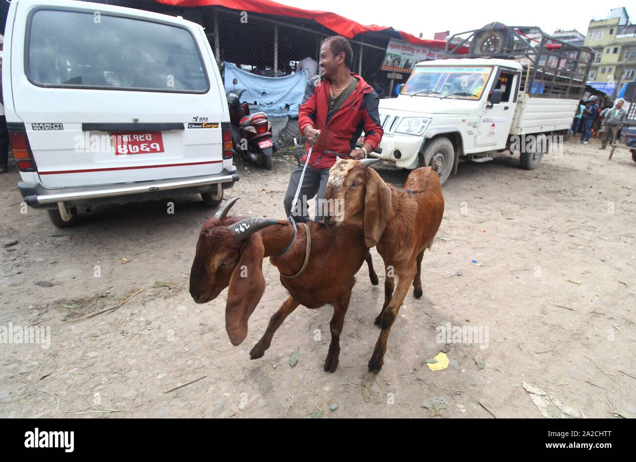 Part man part goat hi-res stock photography and images - Alamy