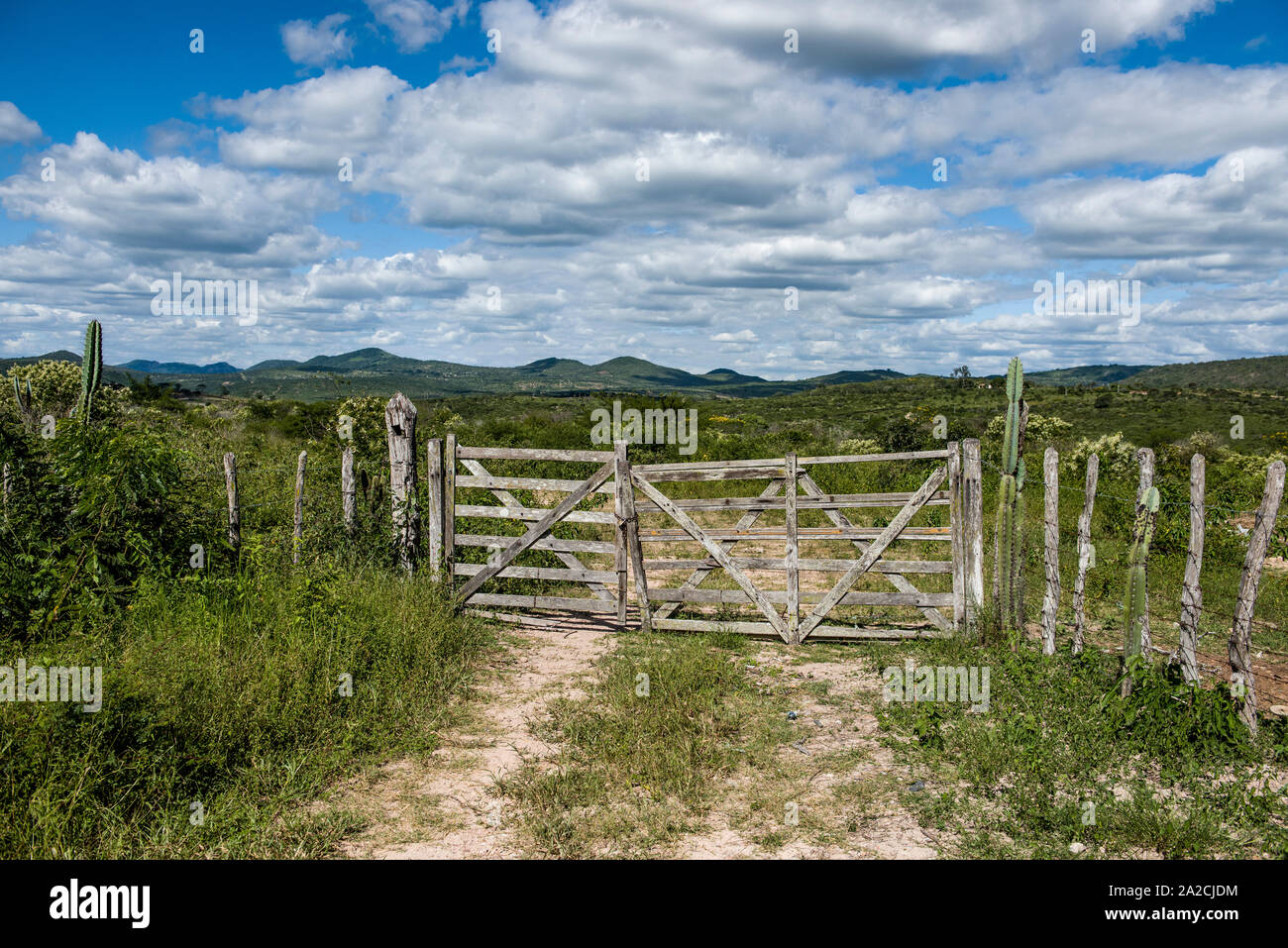 The sertao hi-res stock photography and images - Alamy