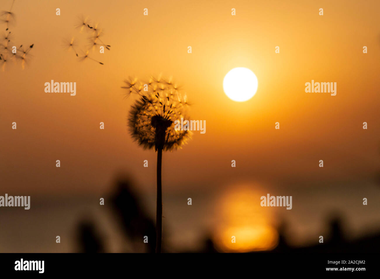 Wind lips hi-res stock photography and images - Alamy