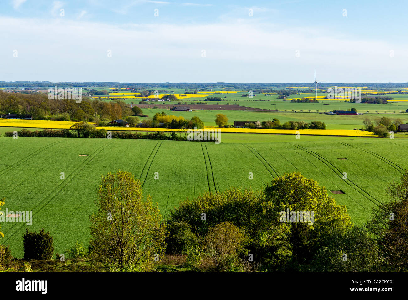 A Scanian (Southern Sweden) landscape filled with fields of green, gold ...