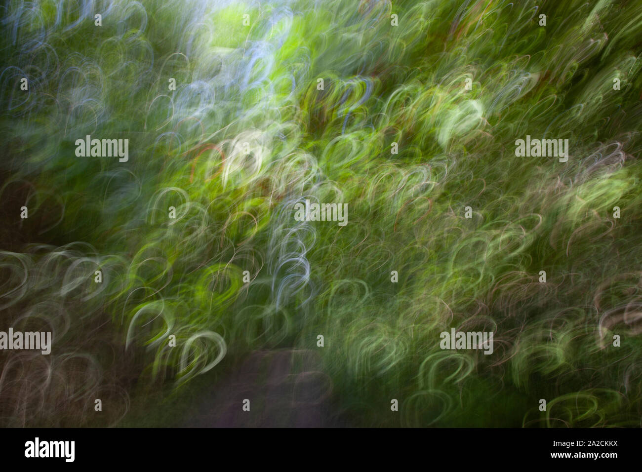Abstract scenery hi-res stock photography and images - Alamy