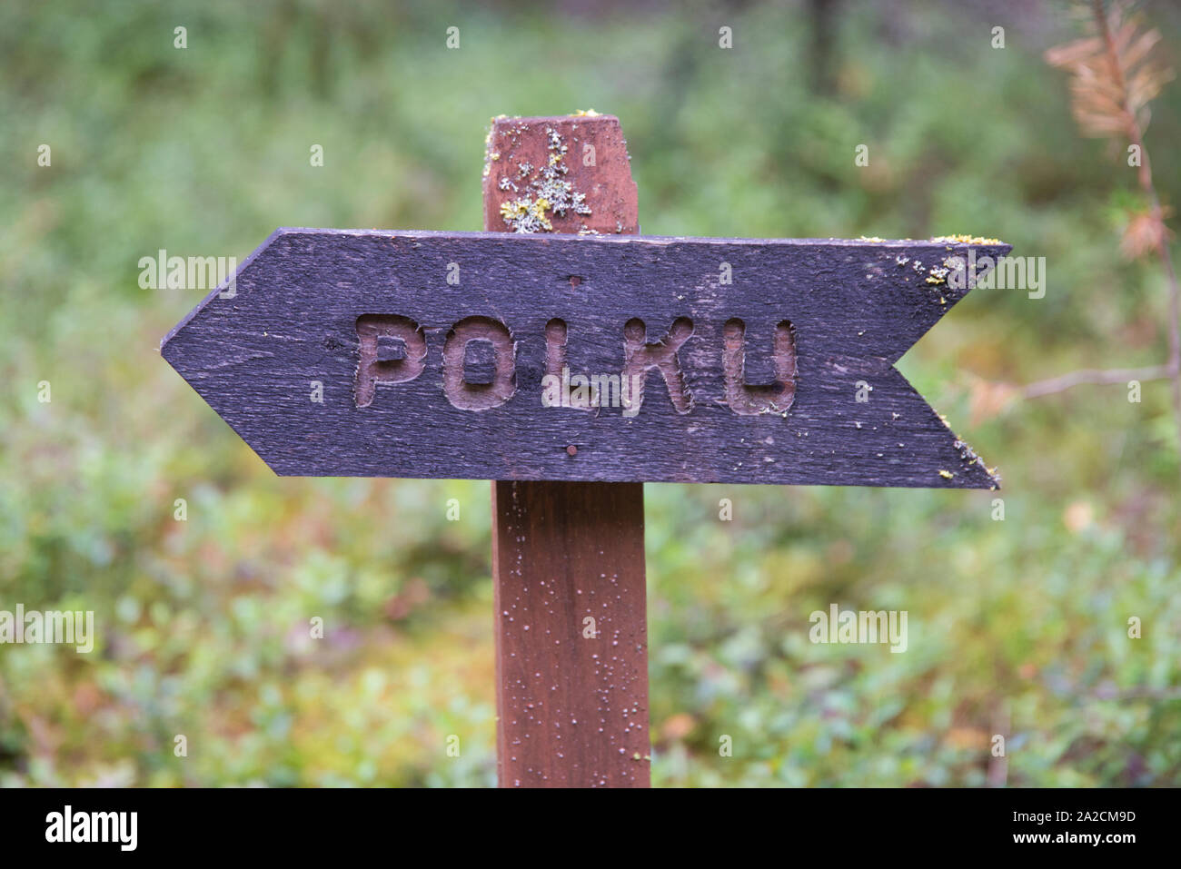 Sign in a forest Stock Photo - Alamy