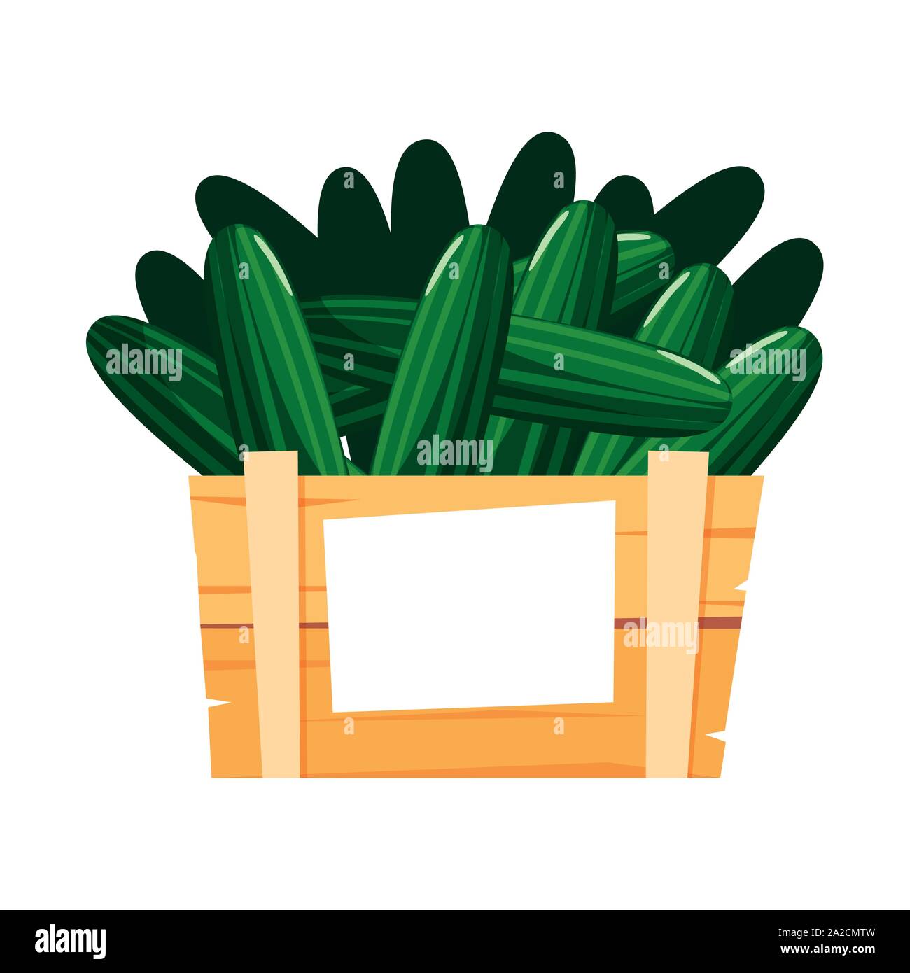 cucumbers design, Vegetable organic food healthy fresh natural and ...