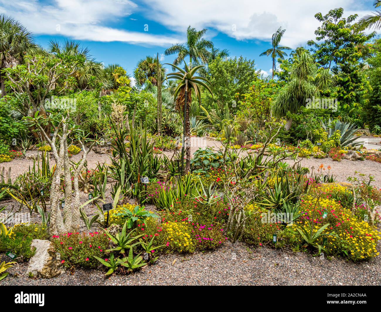 Naples Botanical Garden in Naples Florida in the United States Stock ...