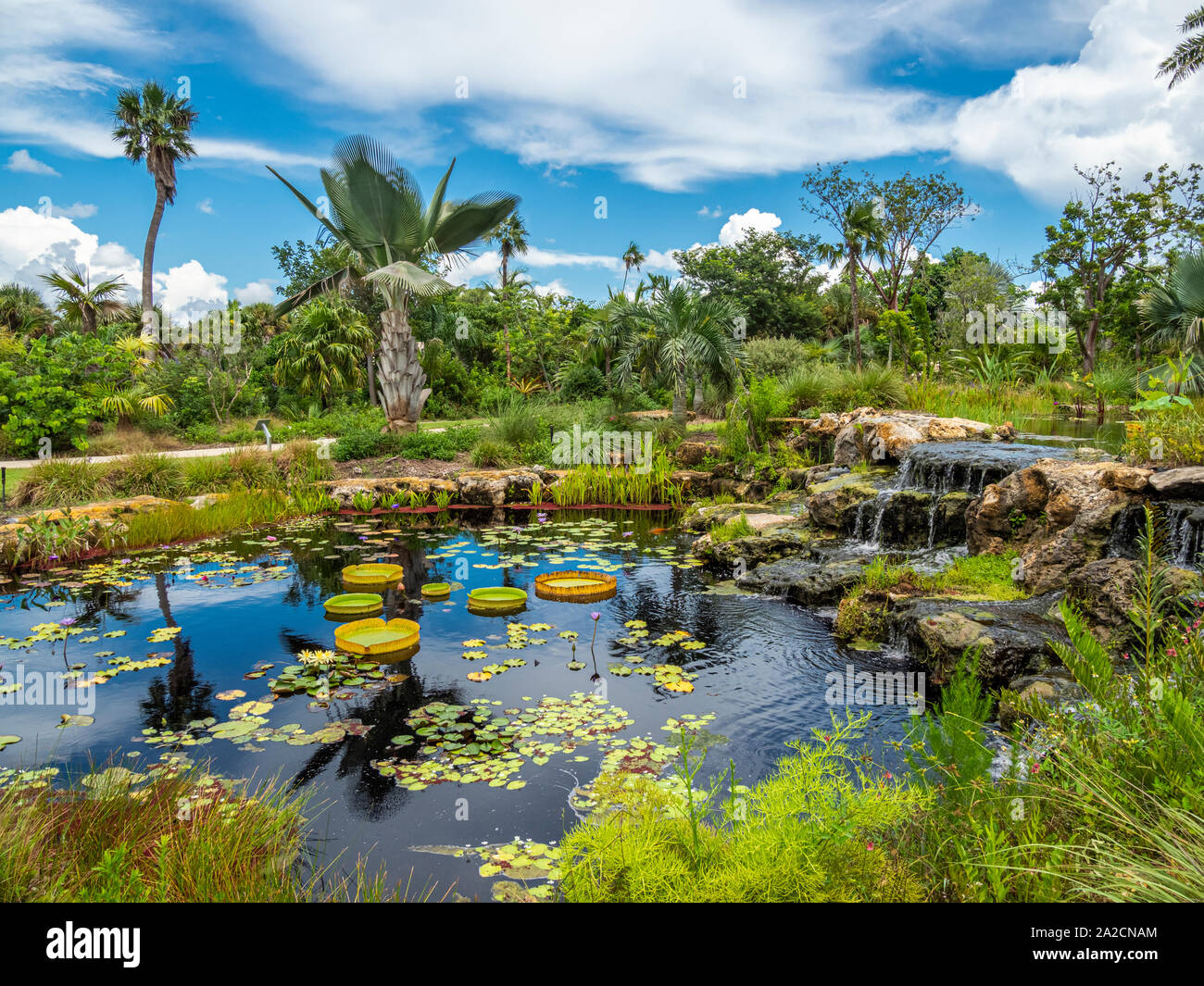 Naples Botanical Garden in Naples Florida in the United States Stock ...
