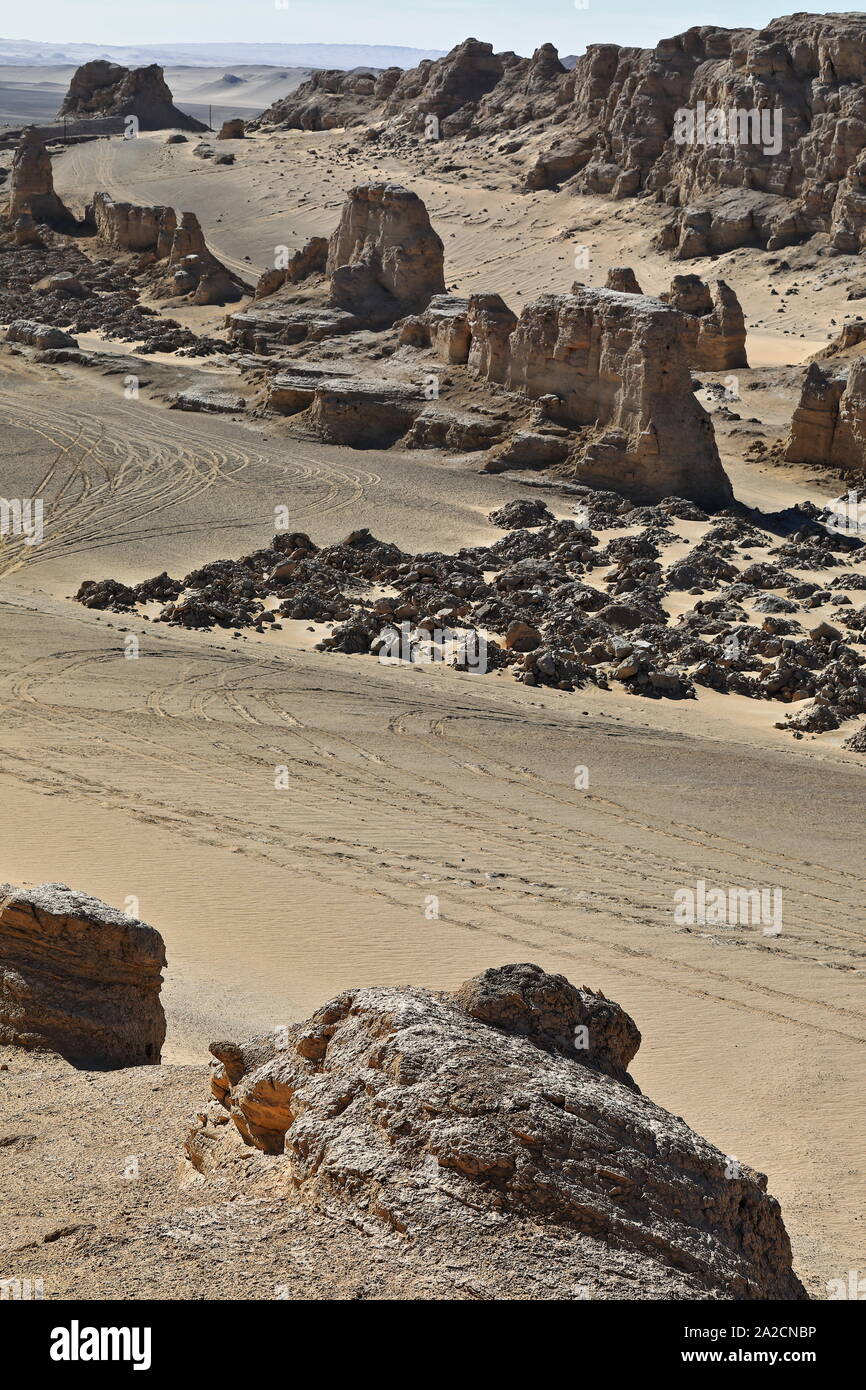 Yardangs-wind eroded rock and bedrock surfaces-alternating ridges and ...