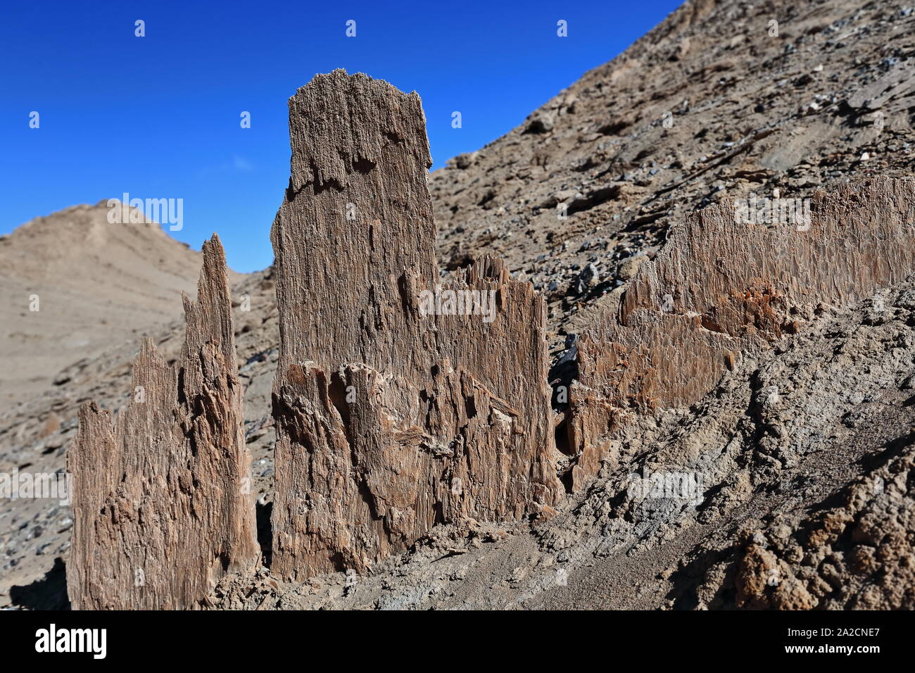 Flattened brown crystals-gypsum mineral among yardangs-wind eroded ...