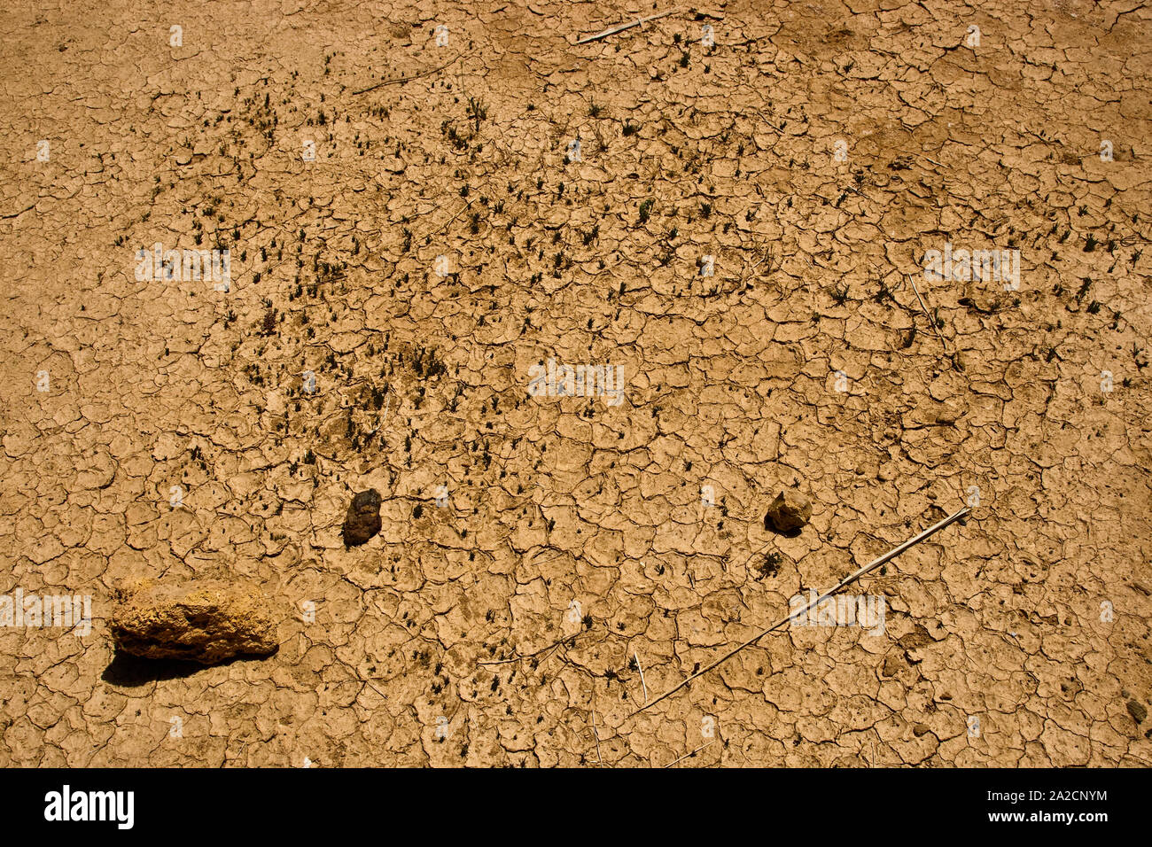 Detail of the arid and dry soil composed of sand and mud in the desert ...