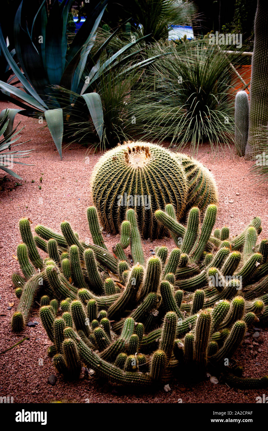 Yves saint laurent marrakech crowd hi-res stock photography and images ...