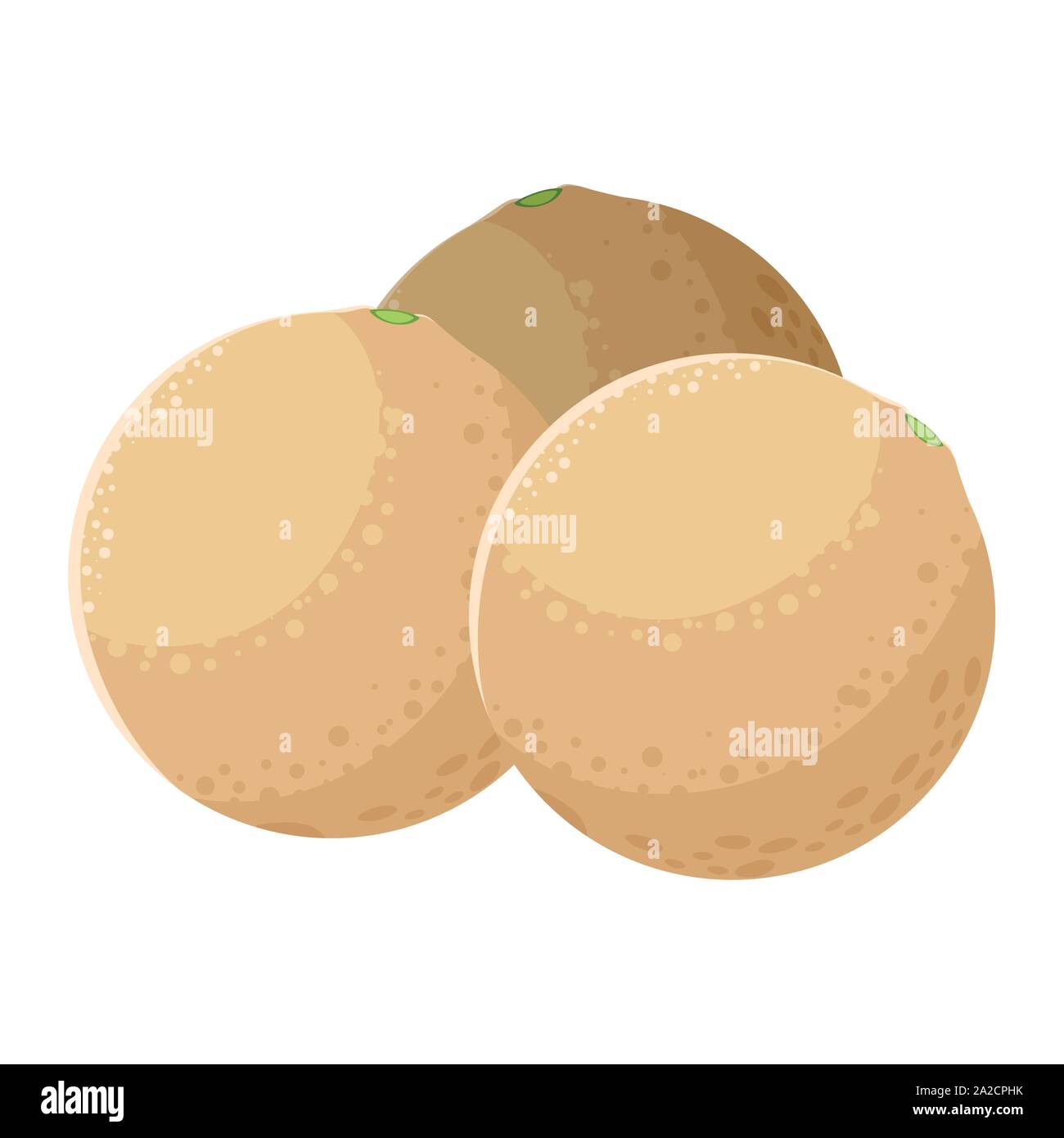 melons design, Fruit healthy organic food sweet and nature theme Vector ...