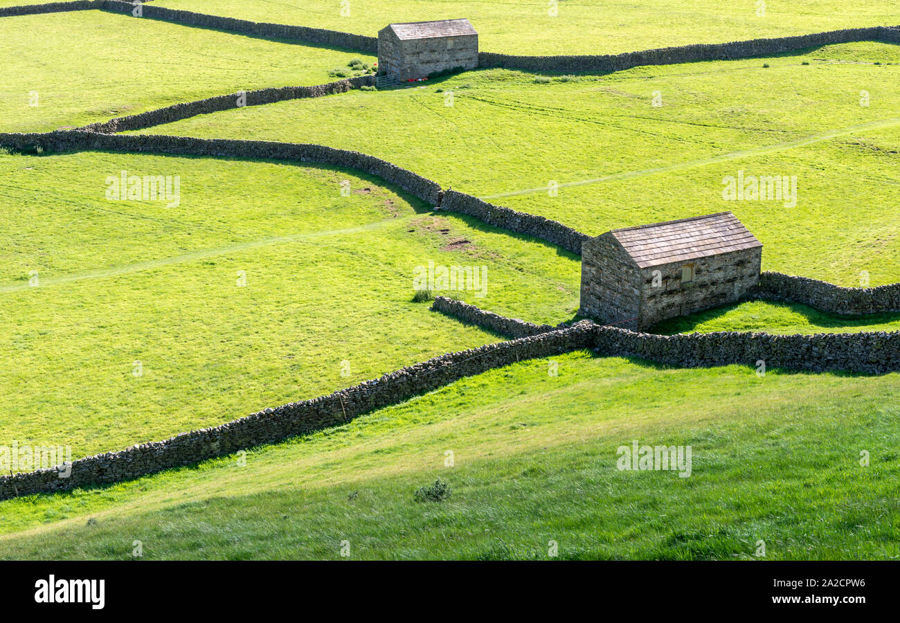 The famous barns and walls at Gunnerside, in Swaledale Stock Photo - Alamy
