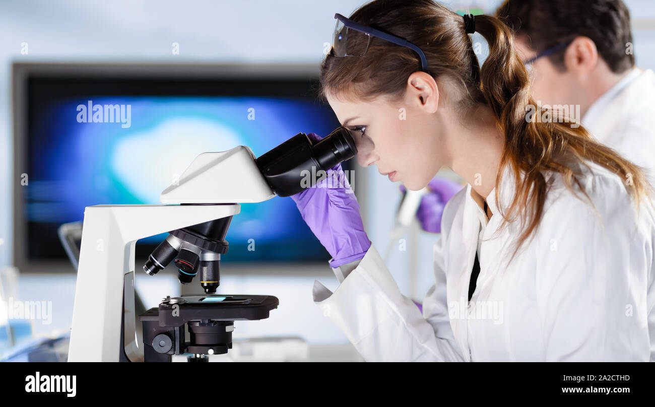 Young researchers researching in life science laboratory Stock Photo ...