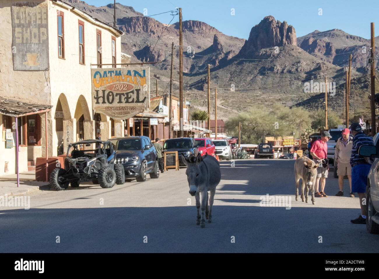 Oatman donkey hi-res stock photography and images - Alamy
