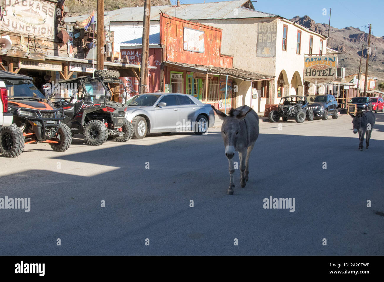 Oatman Donkey High Resolution Stock Photography and Images - Alamy