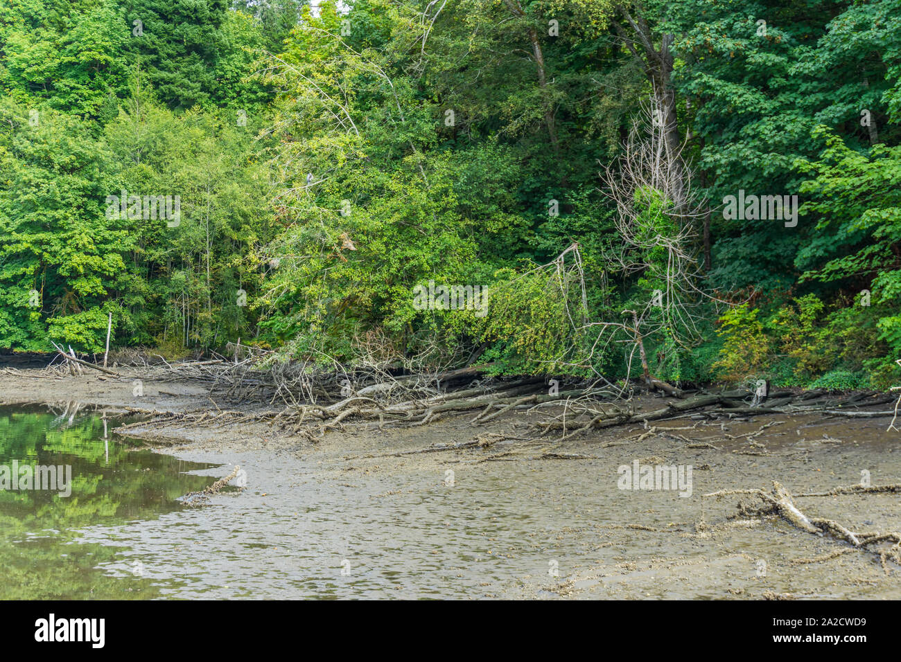 A view of the shoreline at Priest Point Park in Olympia, Washington ...