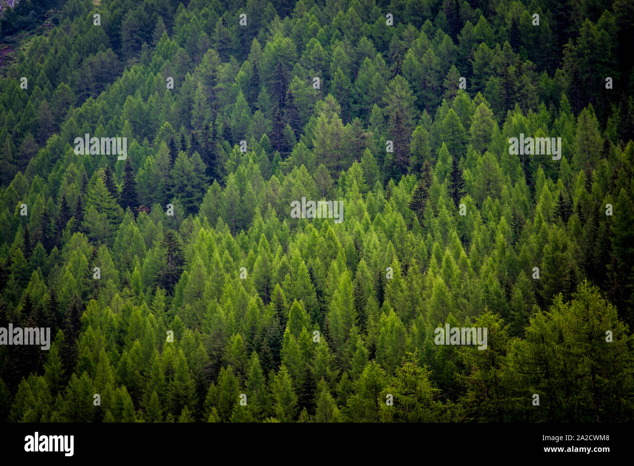 Mountains range slopes road forest hi-res stock photography and images ...