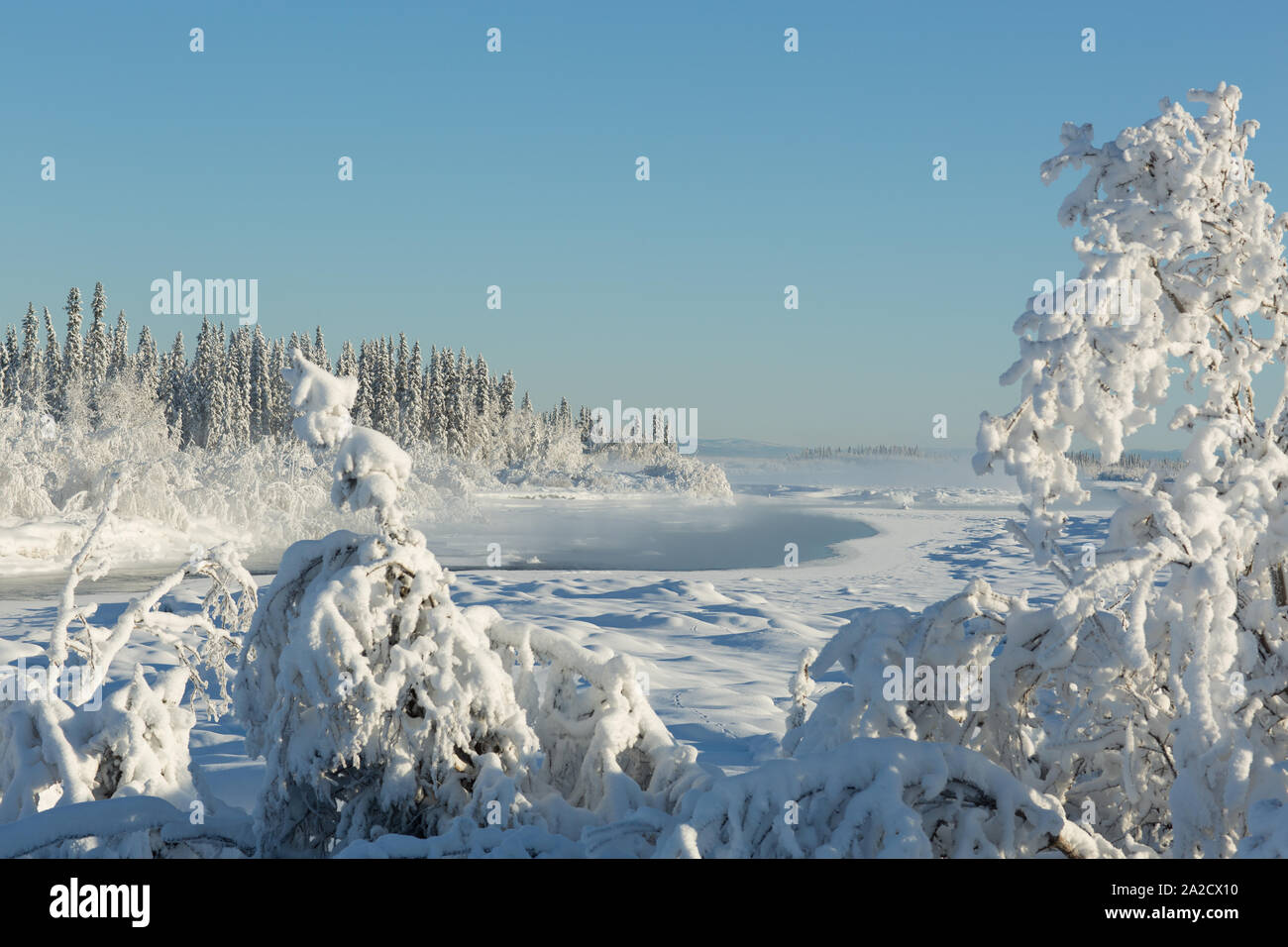 Tanana river alaska hi-res stock photography and images - Alamy