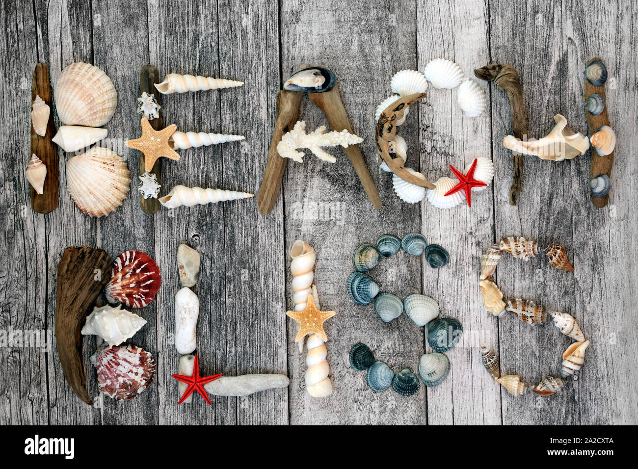 Abstract design of driftwood, seashells and pebbles forming the word ...