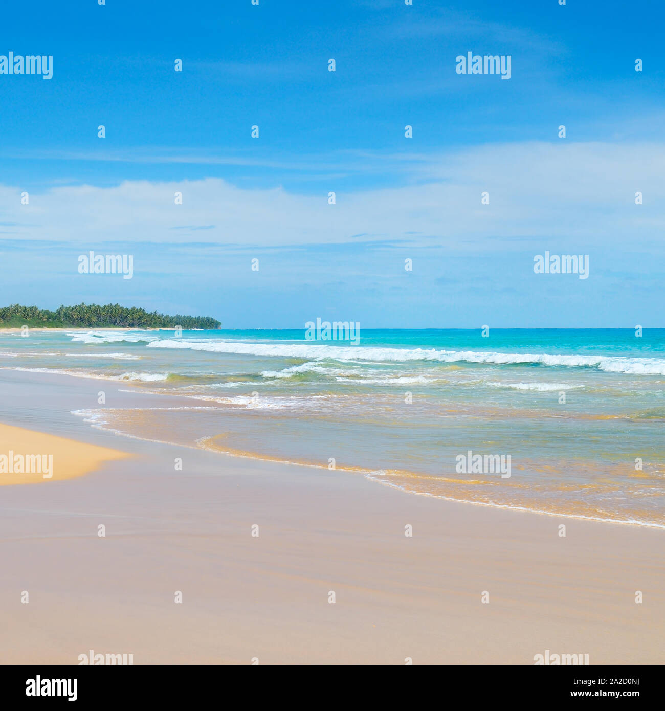 Beautiful ocean, long sandy beach and tropical vegetation Stock Photo ...