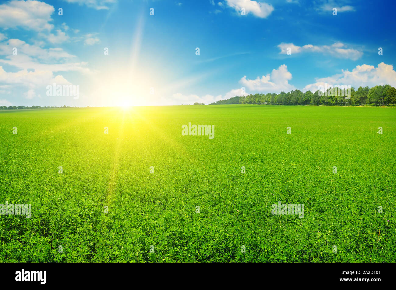 Corny sunset hi-res stock photography and images - Alamy