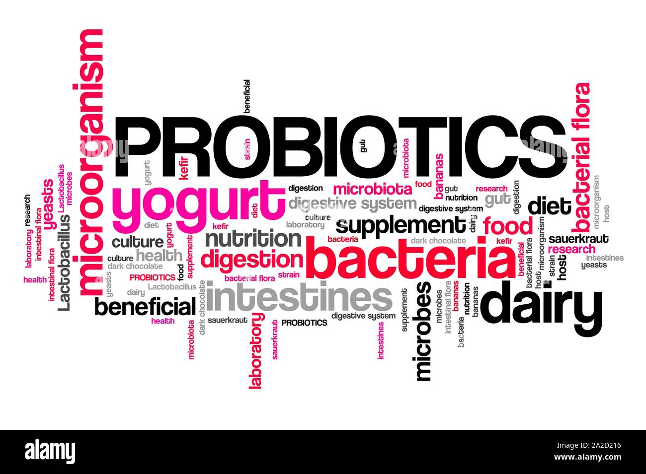 Probiotics - intestinal flora food supplement. Word cloud sign Stock ...