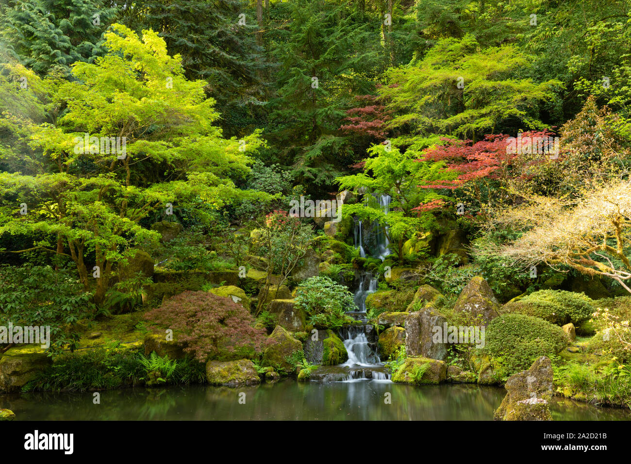 Portland japanese garden waterfall hi-res stock photography and images ...