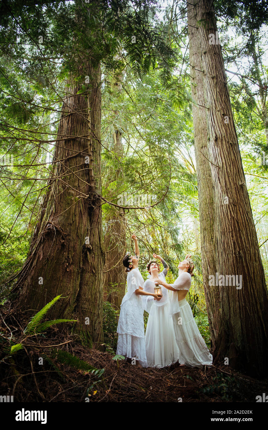 Three woman nymphs in forest, Bainbridge Island, Washington, USA Stock ...