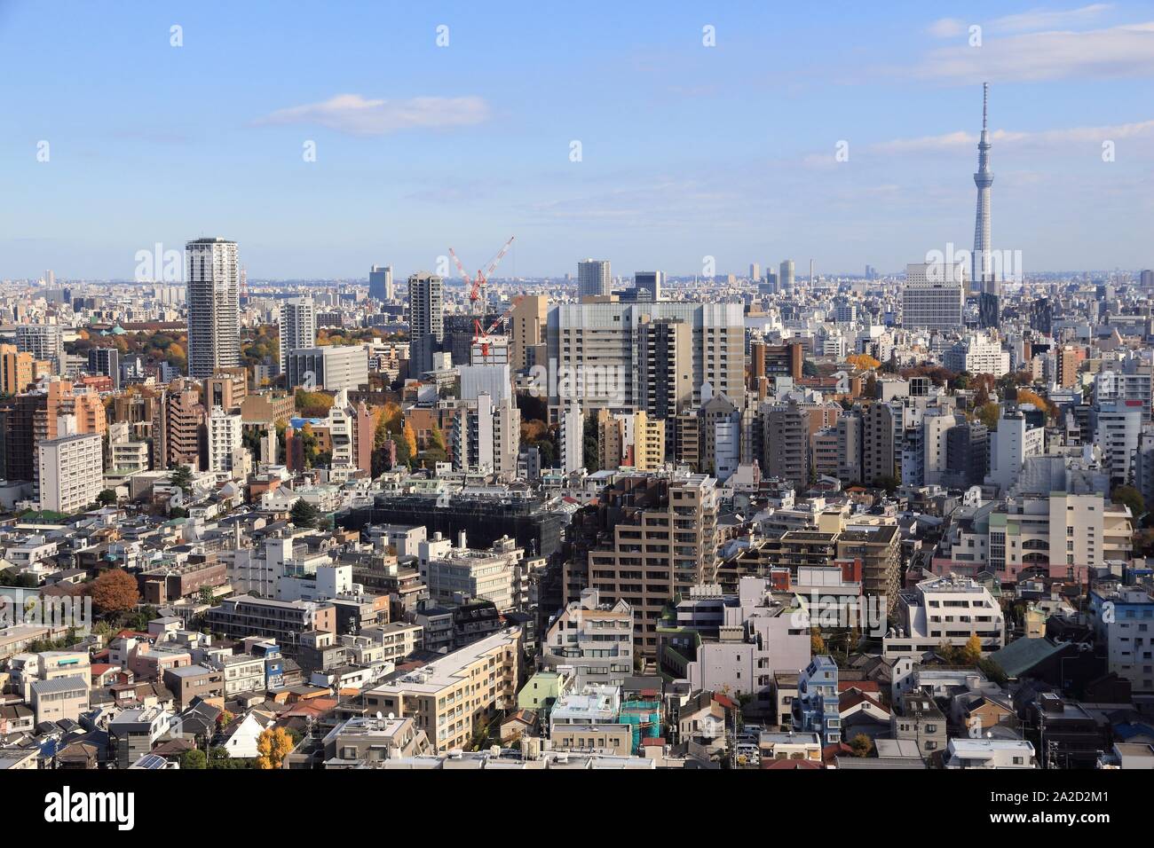 Tokyo city skyline - Japanese capital city aerial view seen from Bunkyo ...