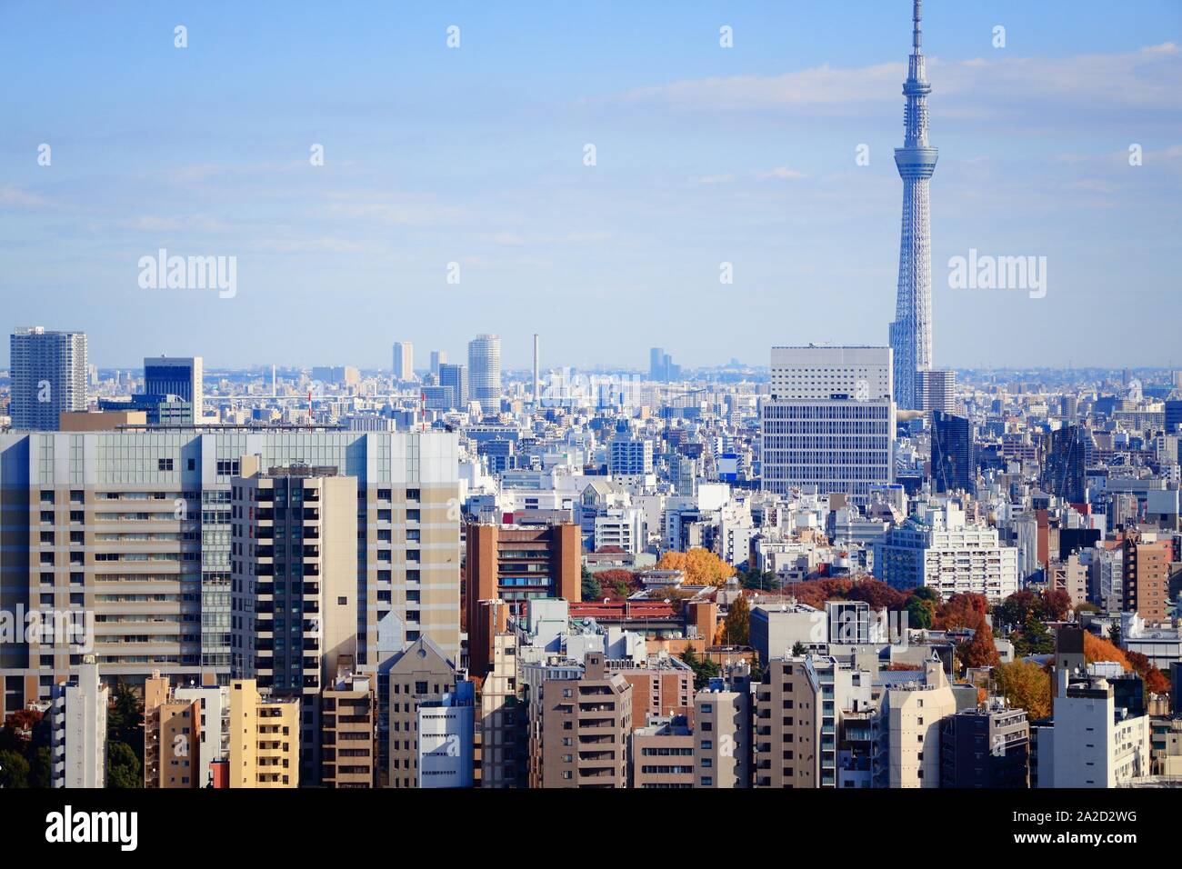 Tokyo city skyline - Japanese capital city aerial view seen from Bunkyo ...