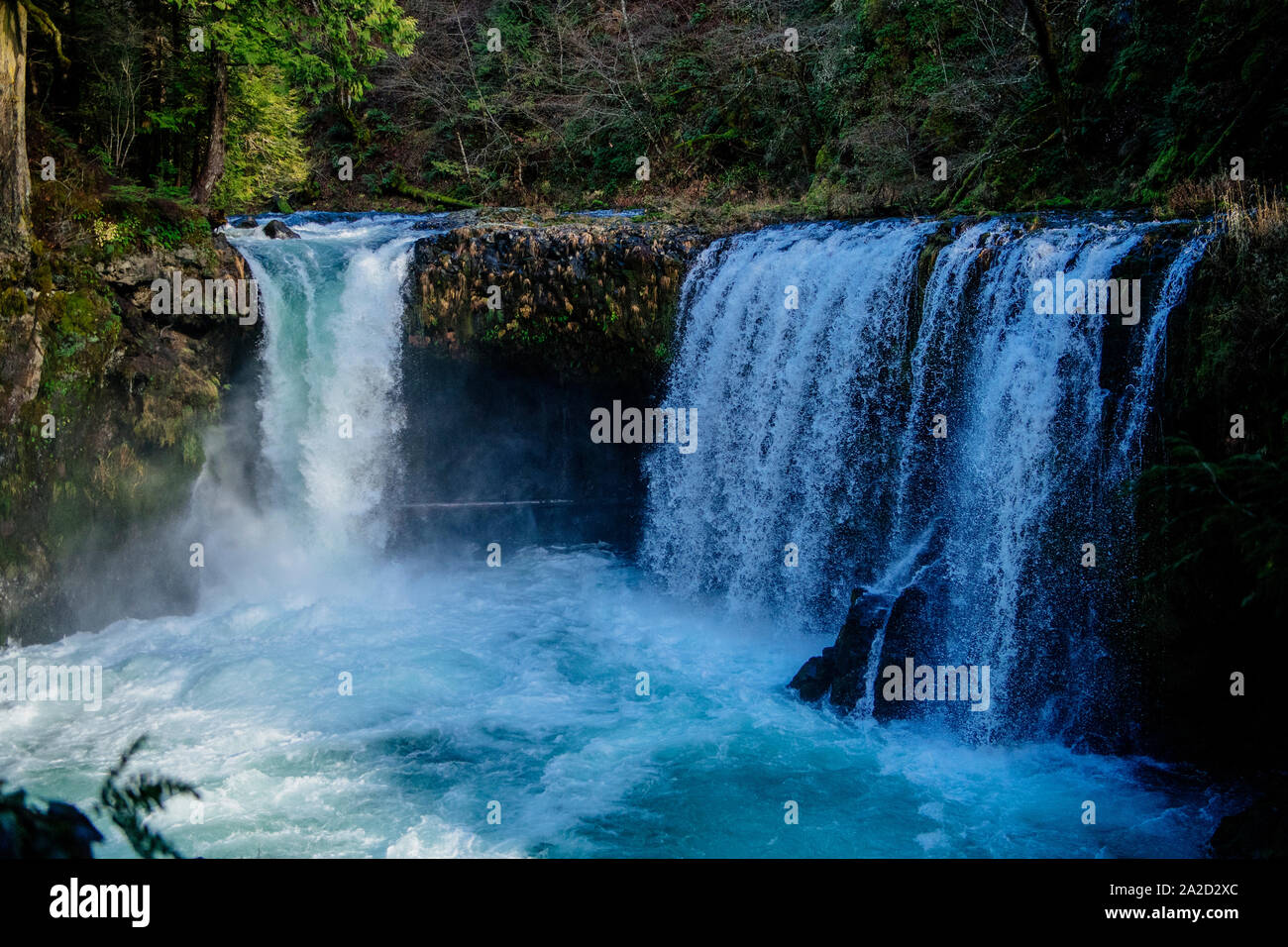 View of waterfall and gorge, Oregon, USA Stock Photo - Alamy