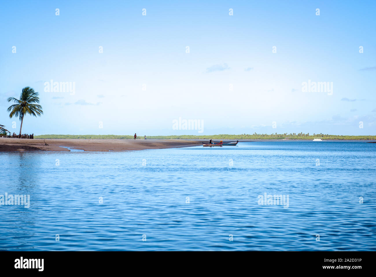 Mangue hi-res stock photography and images - Alamy