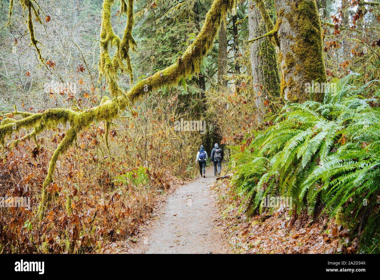 Oregon autumn hi-res stock photography and images - Alamy