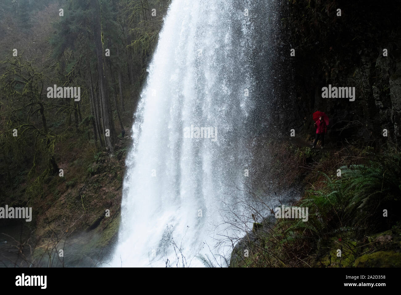 View of waterfall, Oregon, USA Stock Photo - Alamy