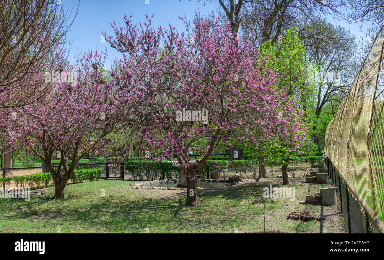 Askania Nova High Resolution Stock Photography and Images - Alamy